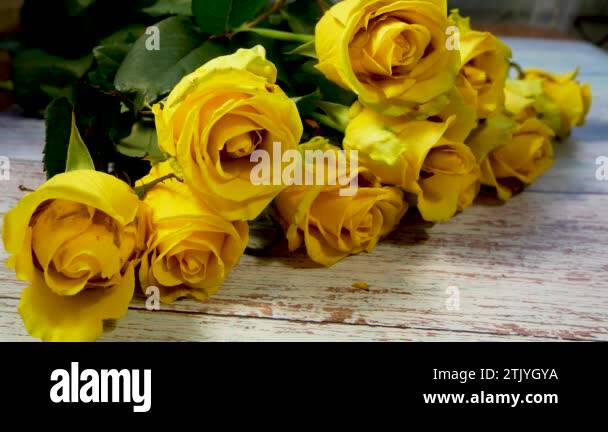 Beautiful blooming yellow roses Stock Videos & Footage - HD and 4K ...
