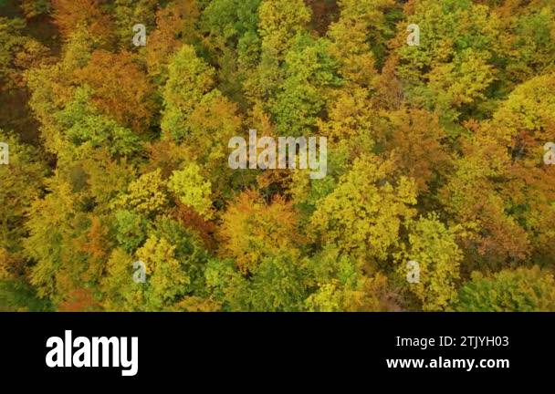 Warm color palette in nature Stock Videos & Footage - HD and 4K Video ...