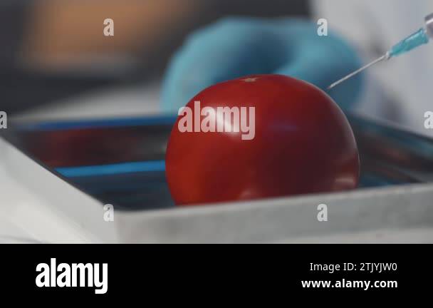 Close-up of red ripe tomato and syringe with long sharp needle during ...