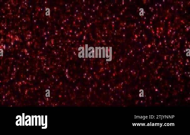 Concept screen full binary Stock Videos & Footage - HD and 4K Video Clips - Alamy