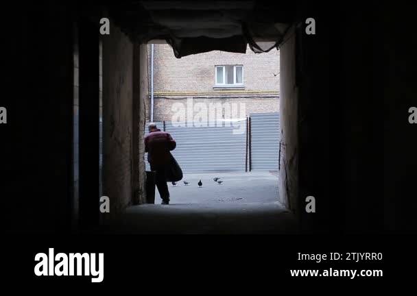 Crime scene burglar Stock Videos & Footage - HD and 4K Video Clips - Alamy