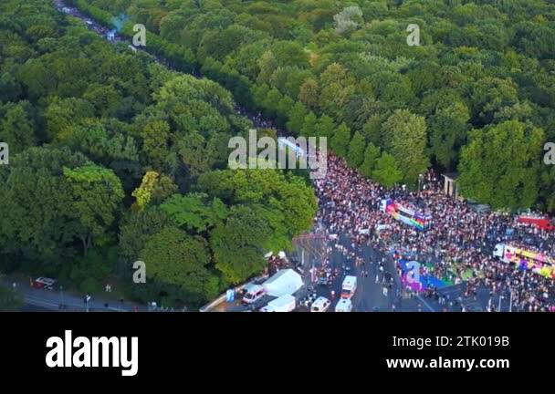 Birds parade Stock Videos & Footage - HD and 4K Video Clips - Alamy