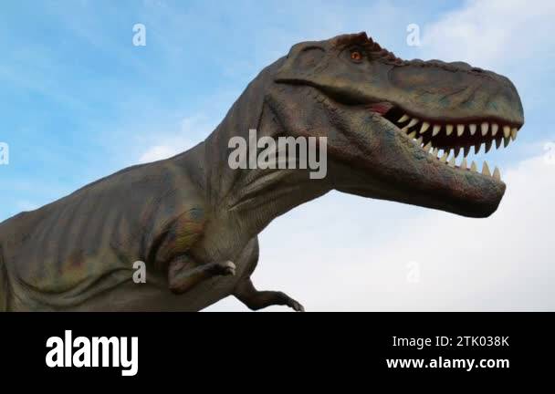 Tyrannosaurus rex life-size model Stock Video Footage - Alamy Tyrannosaurus rex life-size model Stock Video Footage - Alamy