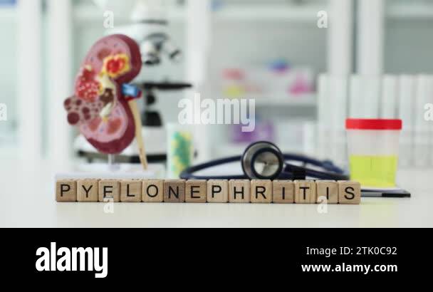 Pyelonephritis in human kidney Stock Videos & Footage - HD and 4K Video ...