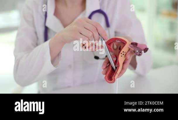 Female woman anatomy Stock Videos & Footage - HD and 4K Video Clips - Alamy