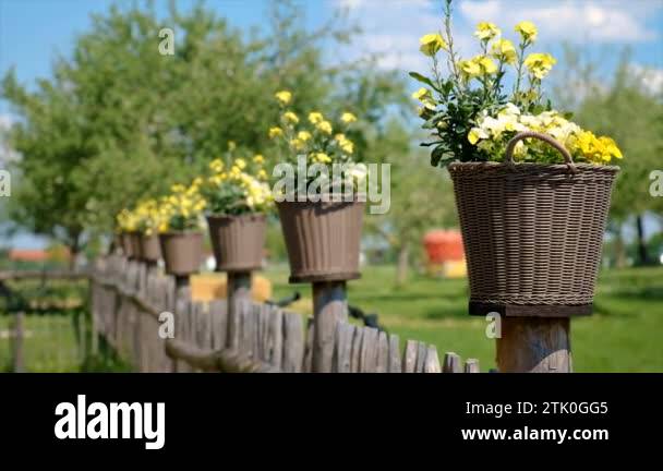 Curved flower border Stock Videos & Footage - HD and 4K Video Clips - Alamy