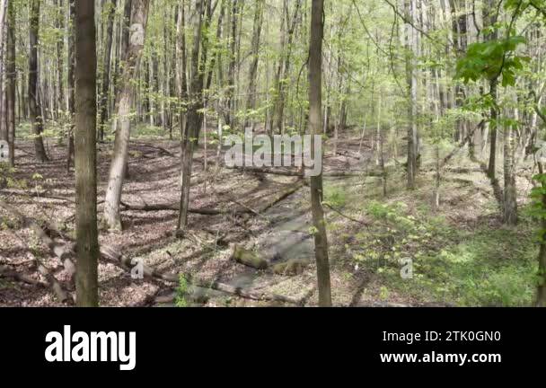Fallen Timbers Battlefield National Historic Site and Metroparks Toledo ...