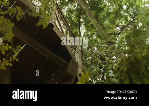 A video showing the railings and bottom part of the wooden viewing ...