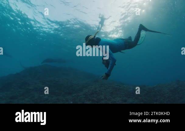 Underwater photographer takes picture of manta ray. Freediver with ...