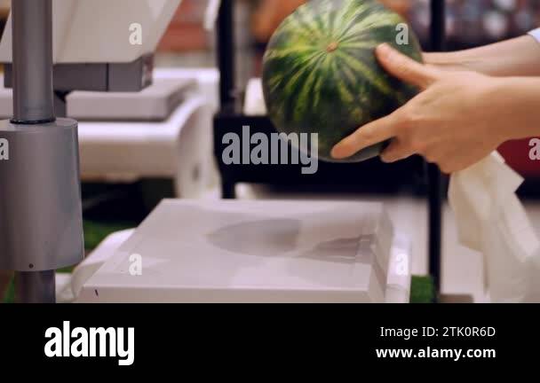 weighing a watermelon. buying a watermelon in a supermarket, in the ...
