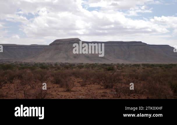 Wildlife of namibian Stock Videos & Footage - HD and 4K Video Clips - Alamy
