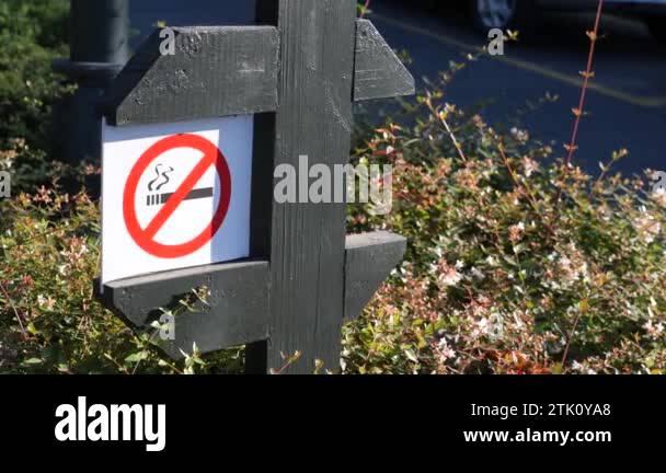 Tree notice Stock Videos & Footage - HD and 4K Video Clips - Alamy