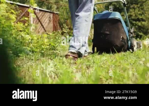 Man as housekeeper Stock Videos & Footage - HD and 4K Video Clips - Alamy