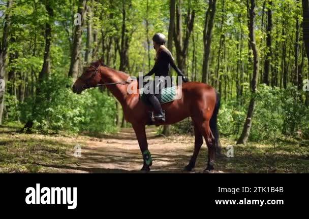 Side view young slim woman sitting on back of horse in forest as live ...