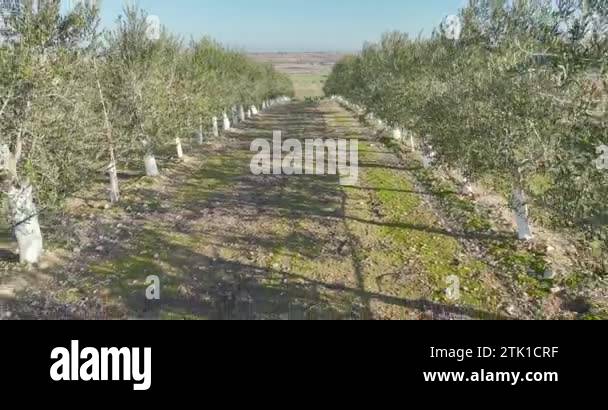 Reverse drone Stock Videos & Footage - HD and 4K Video Clips - Alamy