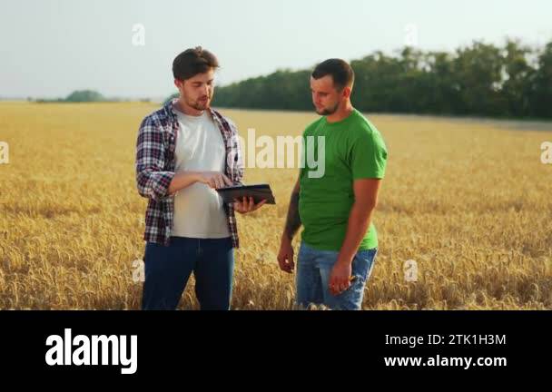 Grain contract Stock Videos & Footage - HD and 4K Video Clips - Alamy
