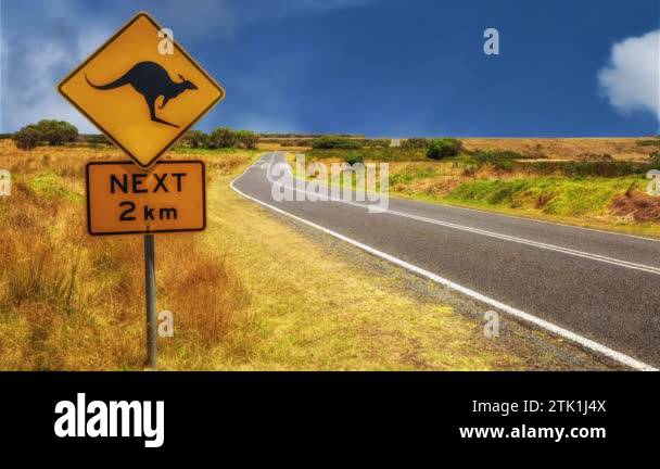 Roadside kangaroo safety Stock Videos & Footage - HD and 4K Video Clips ...