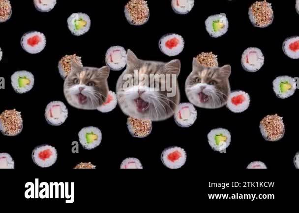 Funny computer graphics, animation with a cats head opening and closing ...