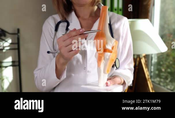 Surgeon shows model of knee joint and tendons in clinic. Joint ...