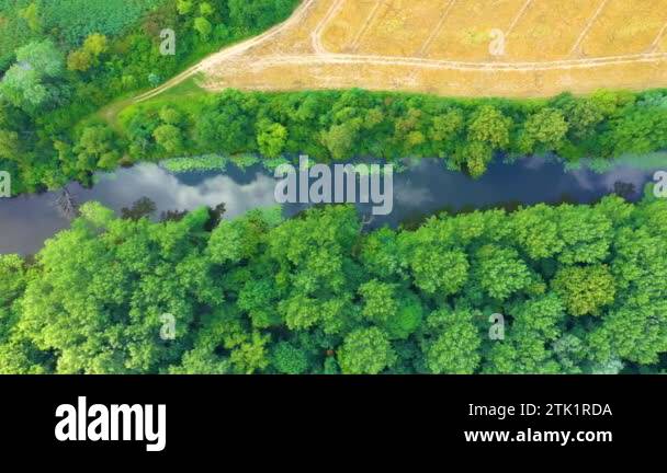 Top down view on exotic winding river flows through green wetlands ...