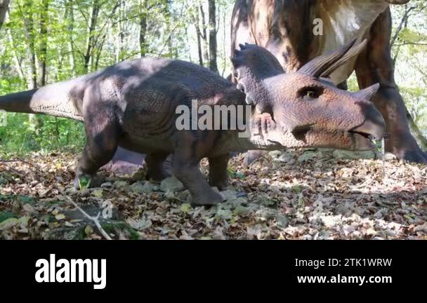 Dinosaurs the jurassic period Stock Videos & Footage - HD and 4K Video Clips - Alamy