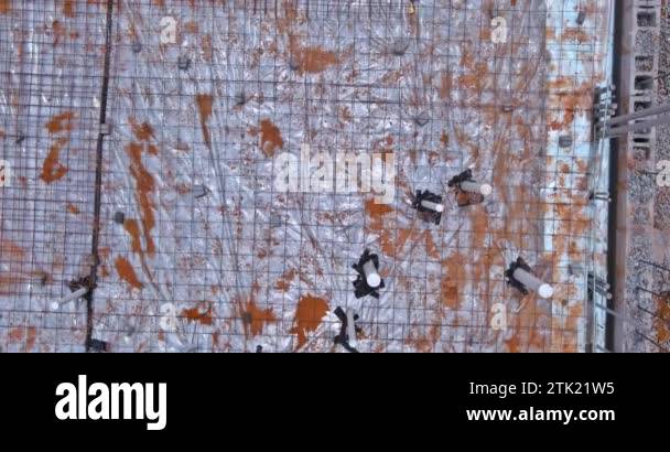 Reinforcement process Stock Videos & Footage - HD and 4K Video Clips ...