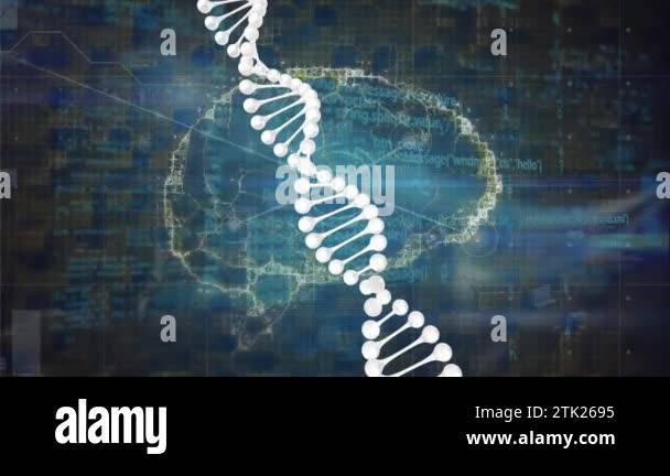 Structure human brain Stock Videos & Footage - HD and 4K Video Clips - Alamy