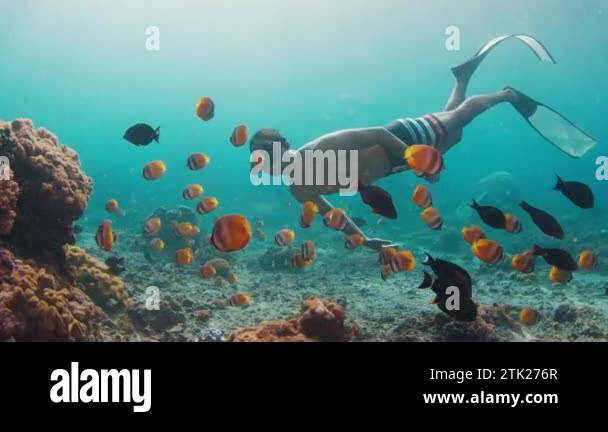 Male freediver. Asian male freediver swims underwater and explores the ...