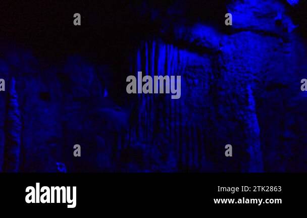 Vampire bat cave Stock Videos & Footage - HD and 4K Video Clips - Alamy