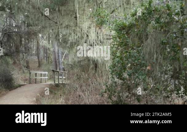 Catwalk wood Stock Videos & Footage - HD and 4K Video Clips - Alamy