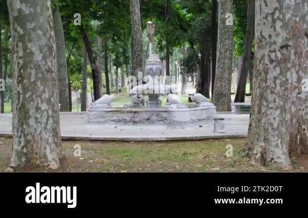 Two crows bathing on a fountain, close-up crows in Gulhane park ...