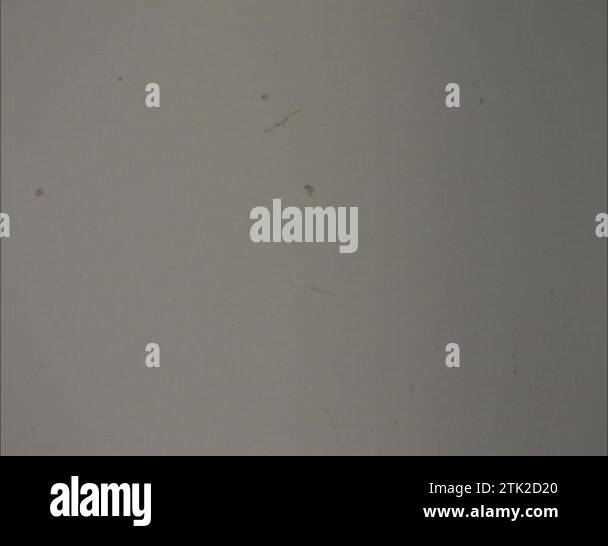 16mm film Burn, scratches, Light Leaks And Lens Flare. For Transitions ...