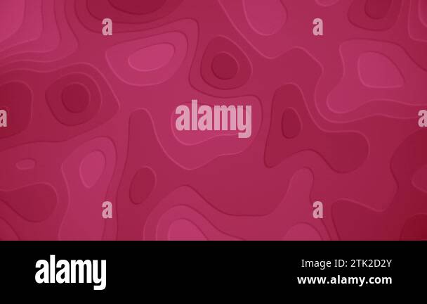 Magenta Topographical Map Styled Motion Background Animation With Gently Morphing Organic Shapes