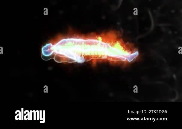prayer video and light effects animation ramadan islamic allahu ...