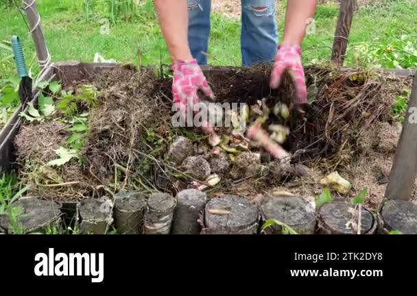 gardeners hands composting food waste in garden compost bin, mixing ...