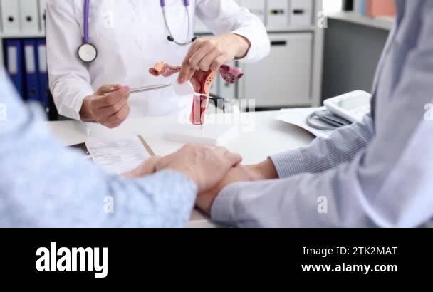 Gynecologist showing married couple how fertilization taking place on ...