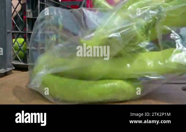 Pepper picker Stock Videos & Footage - HD and 4K Video Clips - Alamy