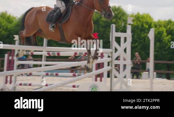 Equestrian rider jumping horse Stock Videos & Footage - HD and 4K Video ...
