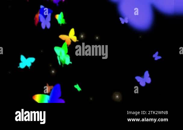 Animation butterflies flying on black background Stock Video Footage - Alamy