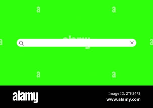 Search Engine Bar Blank Query On Green Screen And Black And White ...