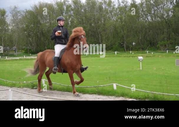 Tölt iceland Stock Videos & Footage - HD and 4K Video Clips - Alamy