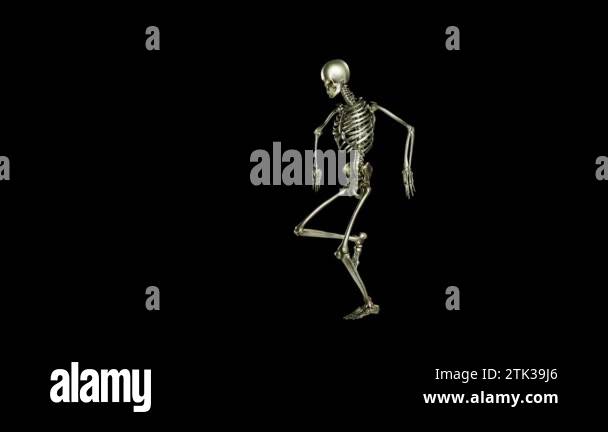 Skeleton dancing. Seamless loop animation on black background, tut Hip ...