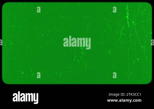 Vintage film effects. Green screen. Cathode ray tube effect with grainy ...
