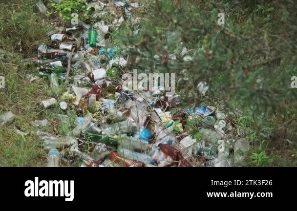Garbage dump of plastic and bottles in the forest. Pile of synthetic ...