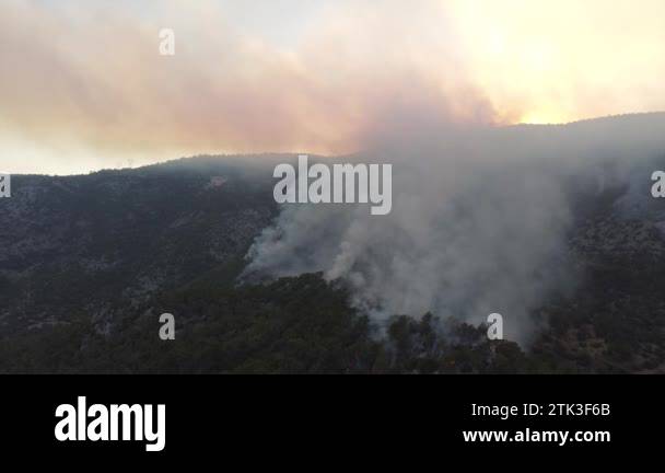 Summer forest fires. Smoke of a forest fire obscures the sun. Natural ...