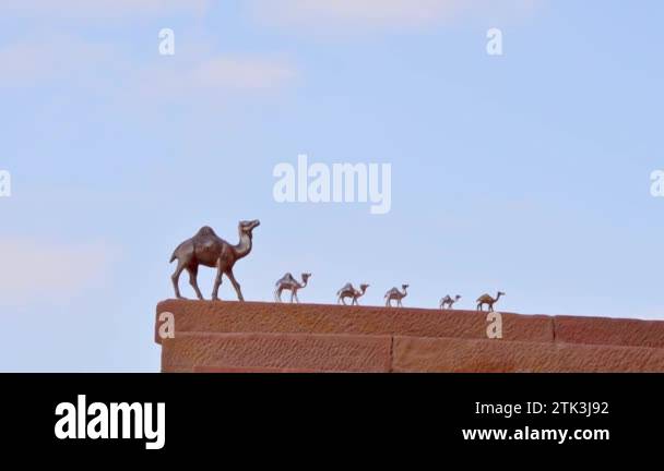 Camel souvenir Stock Videos & Footage - HD and 4K Video Clips - Alamy
