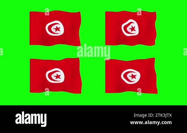Tunisia Waving Flag 2D Animation on Green Screen Background. Looping ...