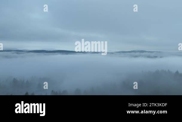 Rainy weather in mountains. Misty fog blowing over pine tree forest ...