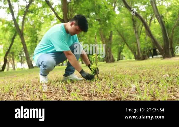 Asian handsome man volunteers to plant trees to preserve the environment in the garden on the ...