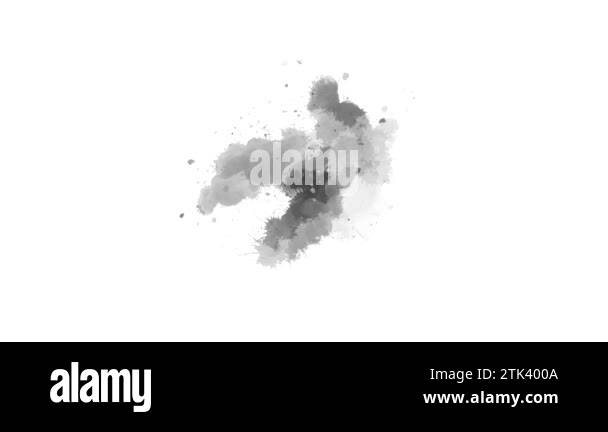 fluid ink splash transition on a white background. watercolor paint ...